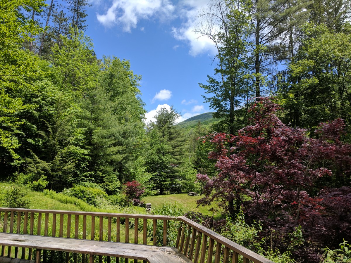 The Property – The Cranberry House