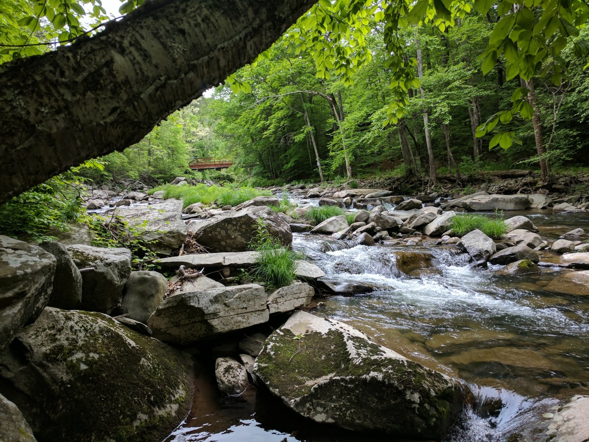 The Area – The Cranberry House